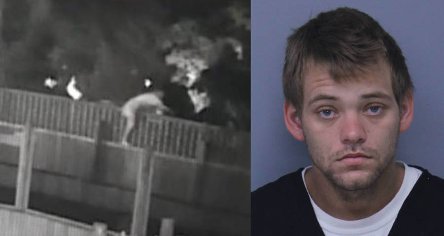 Florida Man Birthday November 7 - A Florida man jumped into the water ...